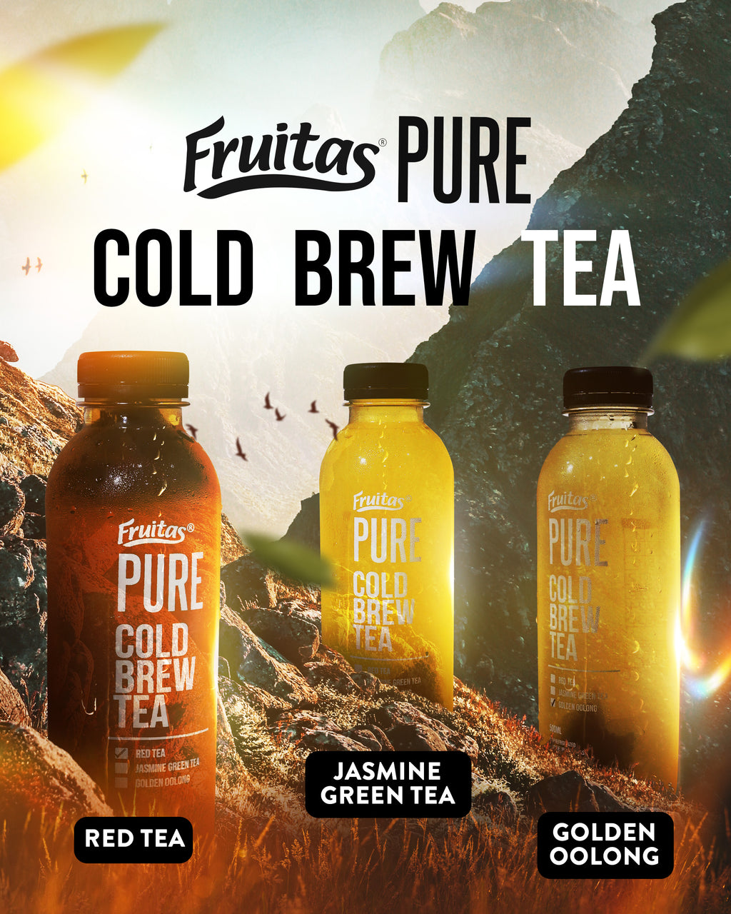 Fruitas Pure Cold Brew Jasmine Green Tea 500ml – House Of Fruitas